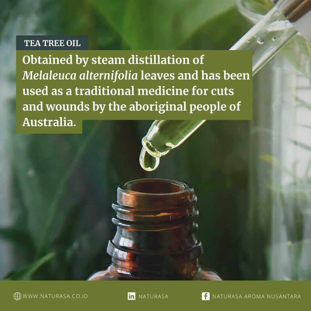 The Benefit of Tea Tree Oil | Article | Naturasa